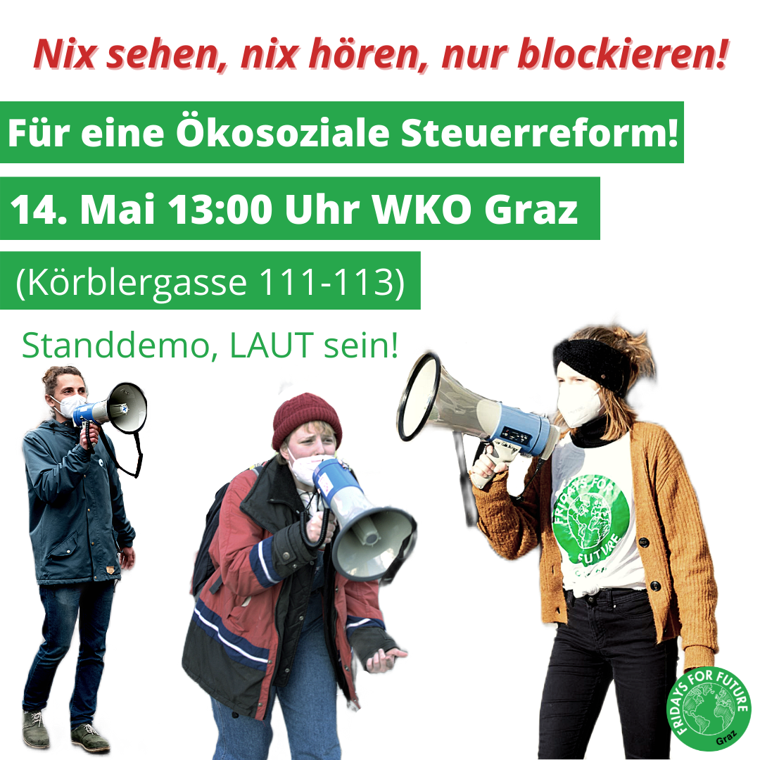 WKO Against Future Graz - Fridays For Future Austria WKO Against Future Graz - Fridays For Future Austria